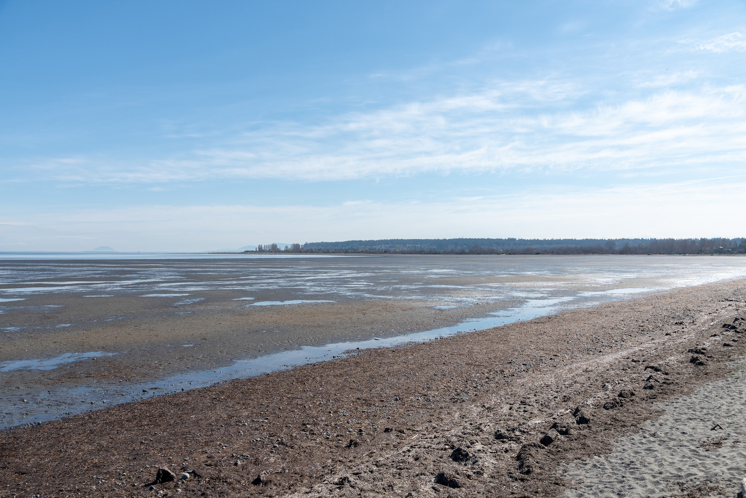 1724 Beach Grove Road, Delta, BC – Lori Fralic – Realtor